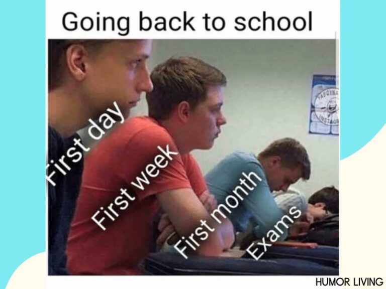 70+ Best School Memes to Make Students and Teachers Laugh - Humor Living