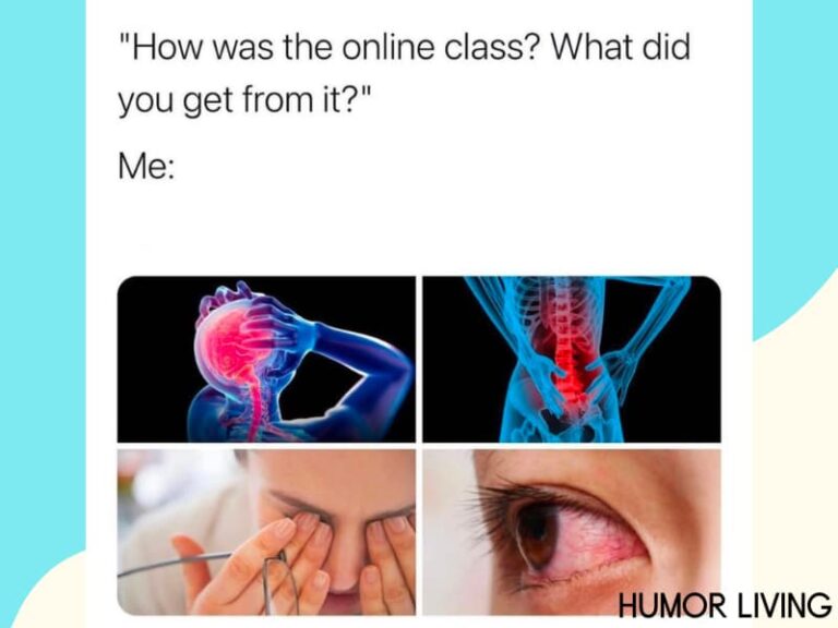 70+ Best School Memes to Make Students and Teachers Laugh - Humor Living