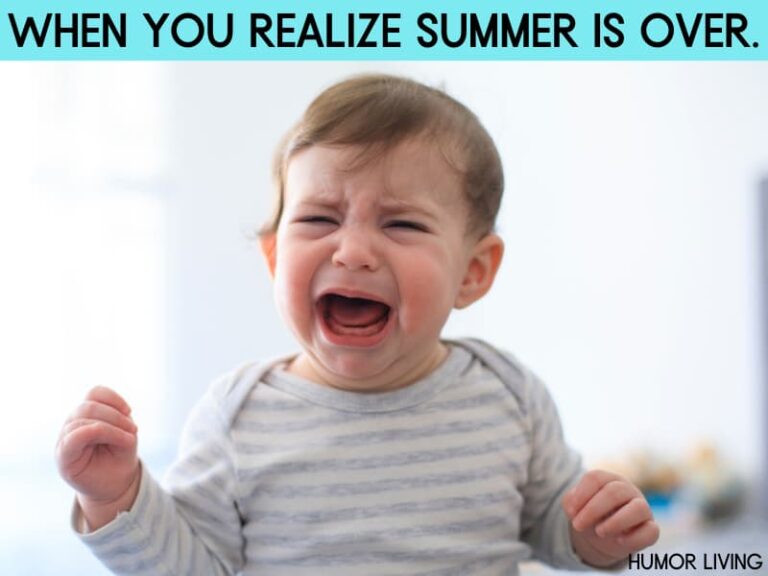 70+ Best School Memes to Make Students and Teachers Laugh - Humor Living