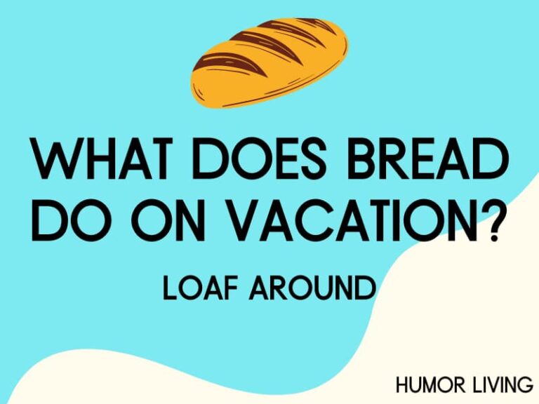 65+ Hilarious Vacation Jokes to Make You Laugh - Humor Living