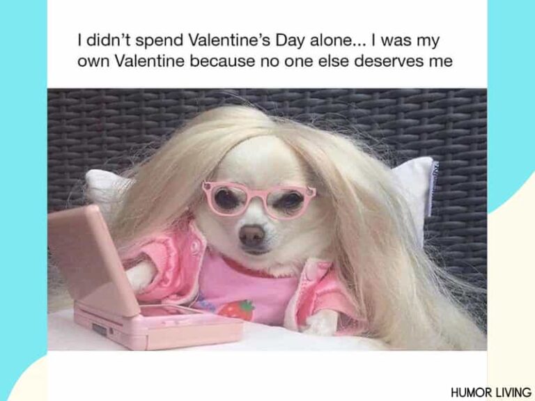 50+ Funny Valentine’s Day Memes - Humor Living