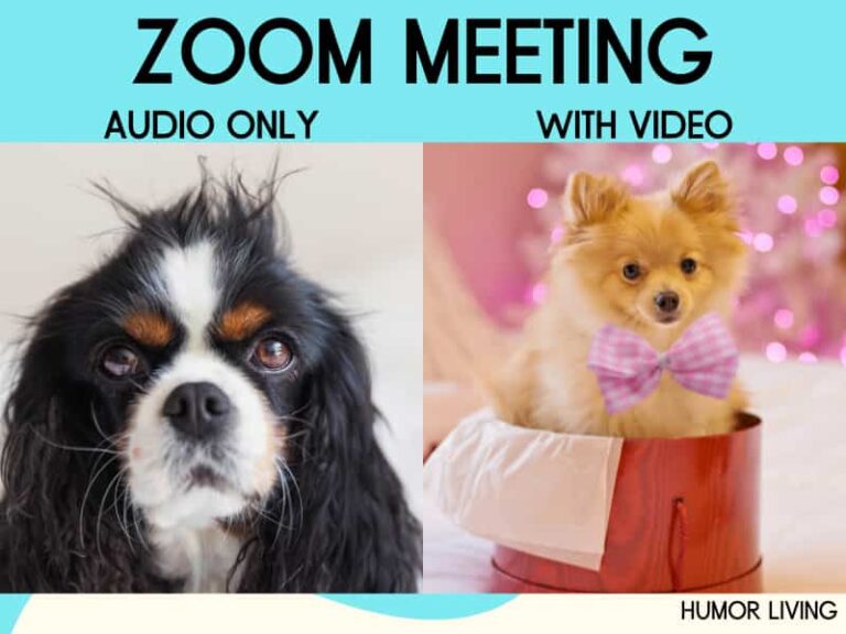 70+ Hilarious Zoom Memes to Make Zoom Meetings Bearable - Humor Living