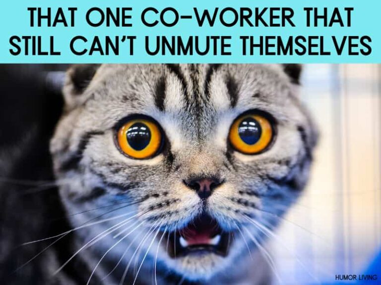70+ Hilarious Zoom Memes to Make Zoom Meetings Bearable - Humor Living