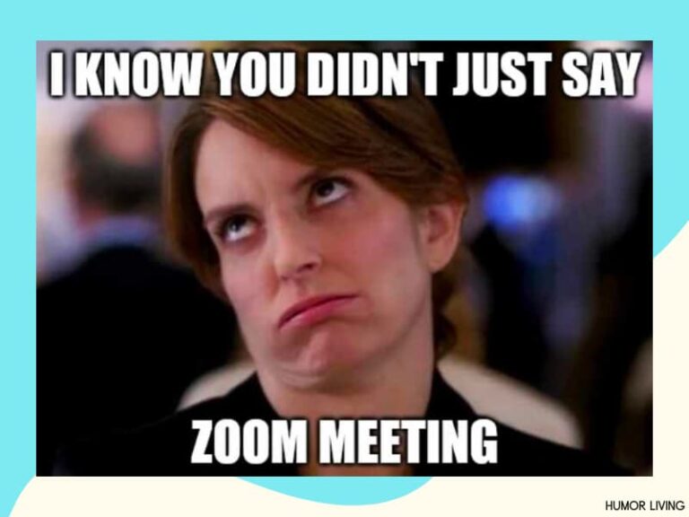 70+ Hilarious Zoom Memes to Make Zoom Meetings Bearable - Humor Living