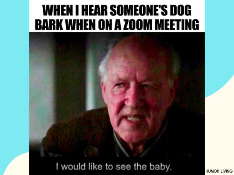 70+ Hilarious Zoom Memes to Make Zoom Meetings Bearable - Humor Living