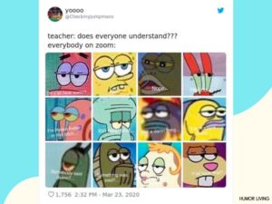 70+ Hilarious Zoom Memes to Make Zoom Meetings Bearable - Humor Living