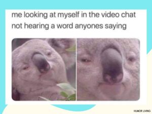 70+ Hilarious Zoom Memes to Make Zoom Meetings Bearable - Humor Living