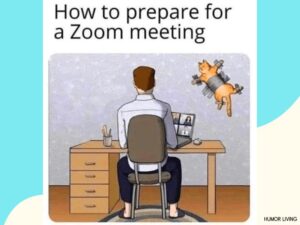 70+ Hilarious Zoom Memes to Make Zoom Meetings Bearable - Humor Living