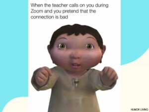 70+ Hilarious Zoom Memes to Make Zoom Meetings Bearable - Humor Living
