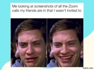 70+ Hilarious Zoom Memes to Make Zoom Meetings Bearable - Humor Living