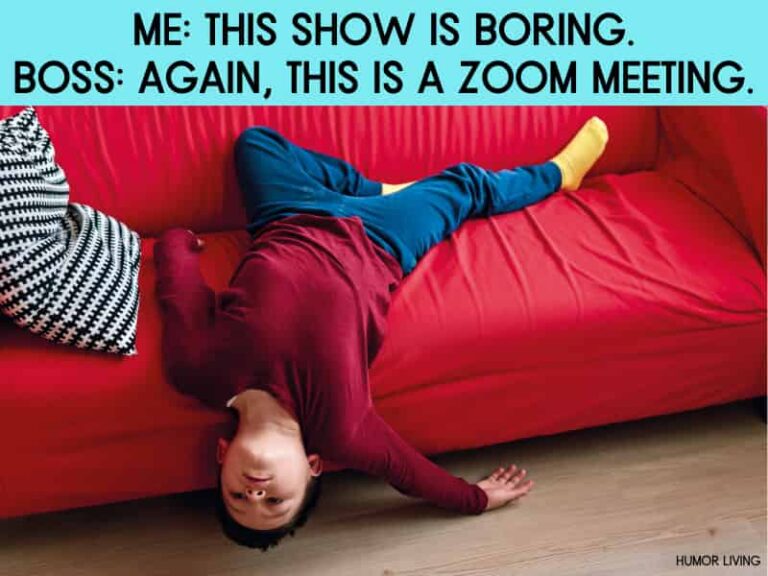 70+ Hilarious Zoom Memes to Make Zoom Meetings Bearable - Humor Living