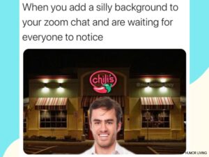 70+ Hilarious Zoom Memes to Make Zoom Meetings Bearable - Humor Living
