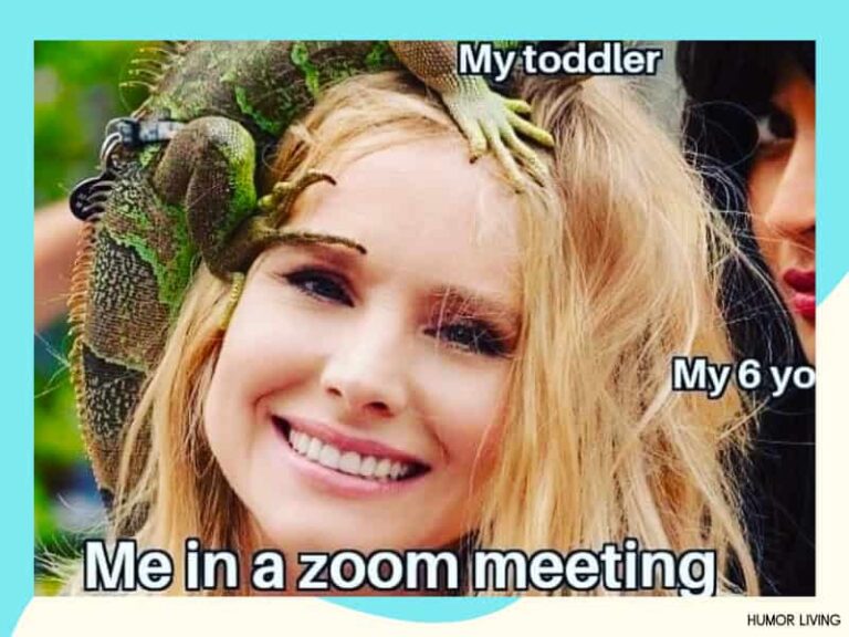 70+ Hilarious Zoom Memes to Make Zoom Meetings Bearable - Humor Living