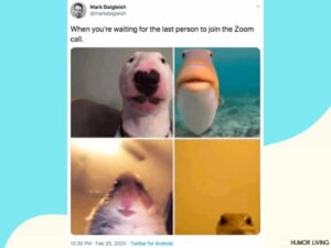 70+ Hilarious Zoom Memes to Make Zoom Meetings Bearable - Humor Living