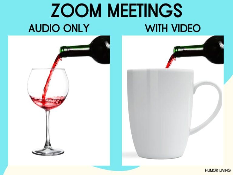 70+ Hilarious Zoom Memes to Make Zoom Meetings Bearable - Humor Living