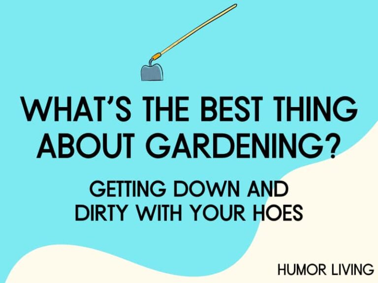 105+ Funny Adult Jokes (Dirty and Hilarious) - Humor Living