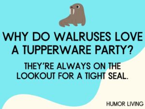 105+ Funny Adult Jokes (Dirty and Hilarious) - Humor Living