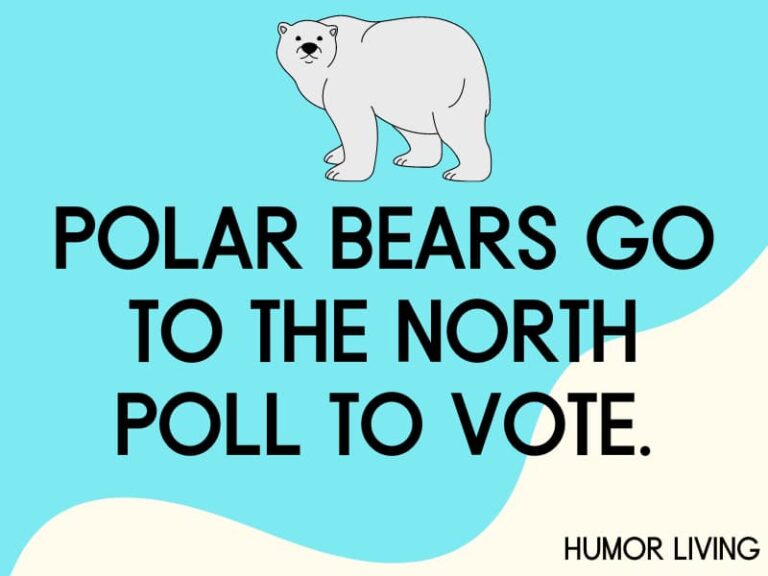 130+ Bear Puns That Are Un-Bear-Ably Funny - Humor Living