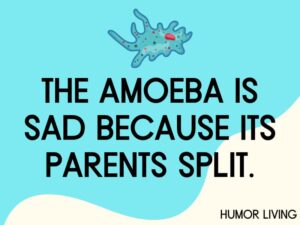 100+ Funny Biology Puns Scientifically Proven to Make You LOL - Humor ...