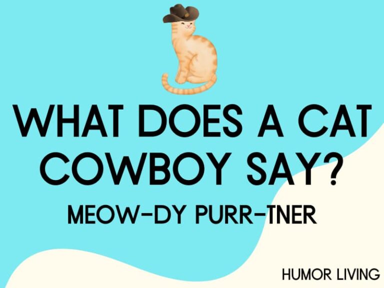50+ Hilarious Cowboy Jokes From the Wild West - Humor Living