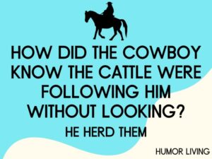 50+ Hilarious Cowboy Jokes From the Wild West - Humor Living