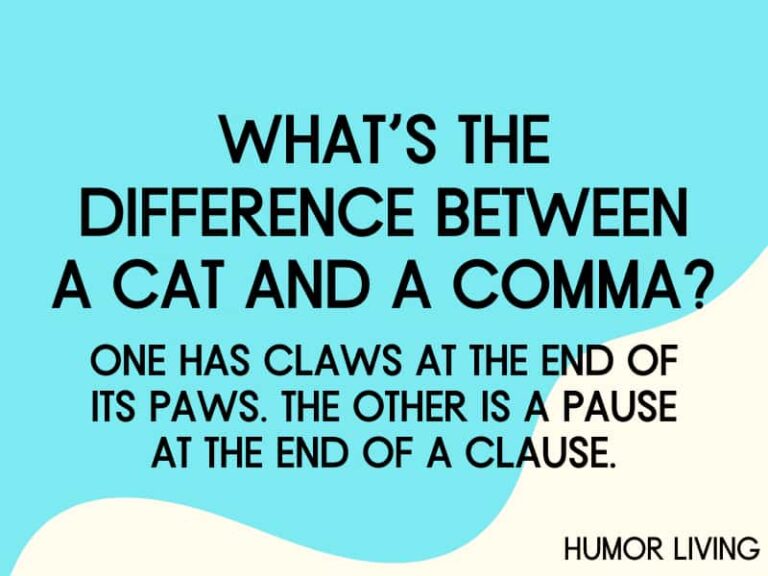 70+ Best “What’s the Difference Between” Jokes - Humor Living