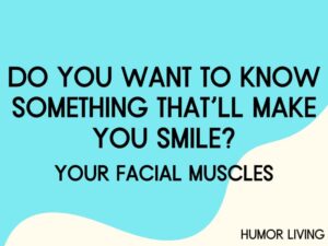 110 Funny Dry Humor Jokes to Make You Laugh So Hard - Humor Living
