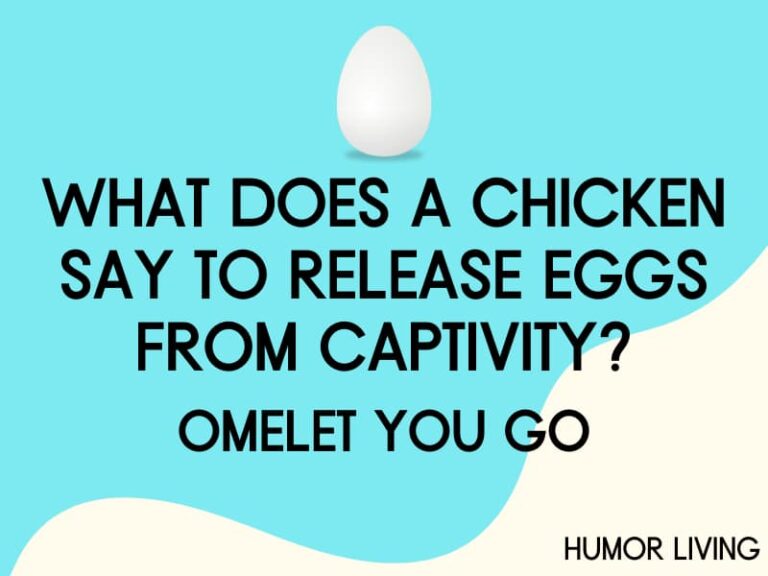 100+ Hilarious Egg Jokes That’ll Crack You Up - Humor Living