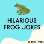 70+ Hilarious Frog Jokes to Make You Hop With Laughter - Humor Living
