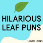 65+ Hilarious Leaf Puns That’ll Leaf You Laughing - Humor Living