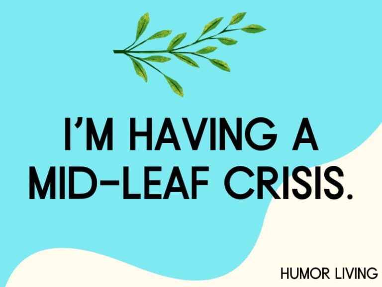 65+ Hilarious Leaf Puns That’ll Leaf You Laughing - Humor Living