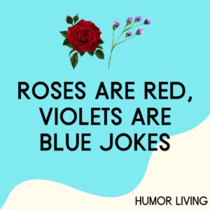100 Hilarious Roses Are Red, Violets Are Blue Jokes - Humor Living