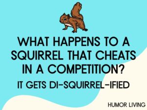 60+ Funny Squirrel Jokes That’ll Drive You Nuts - Humor Living