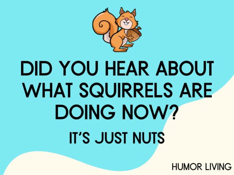 60+ Funny Squirrel Jokes That’ll Drive You Nuts - Humor Living