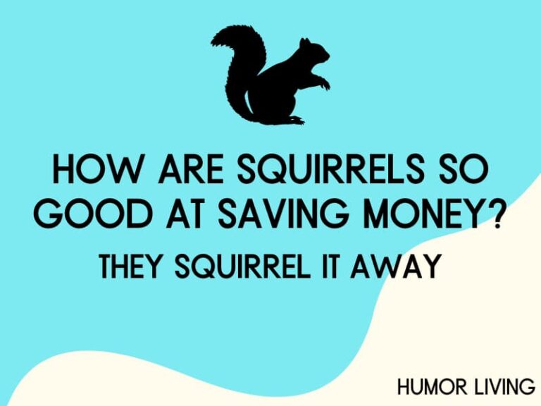 60+ Funny Squirrel Jokes That’ll Drive You Nuts - Humor Living