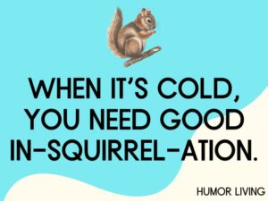 70+ Funny Squirrel Puns That’ll Make You Go Nuts - Humor Living