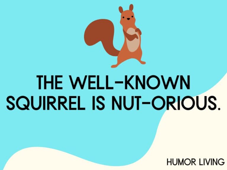 70+ Funny Squirrel Puns That’ll Make You Go Nuts - Humor Living