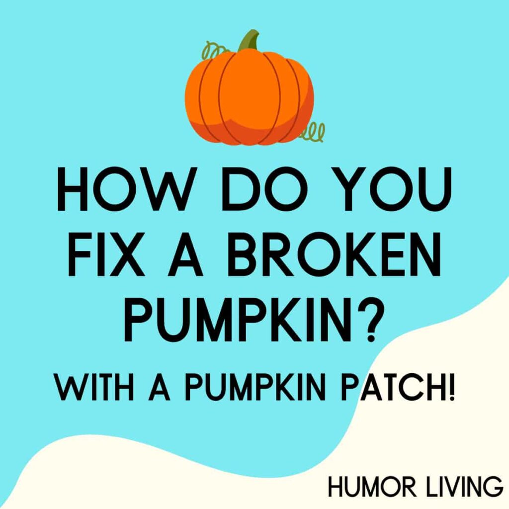 How do you fix a broken pumpkin? With a pumpkin patch! - Humor Living