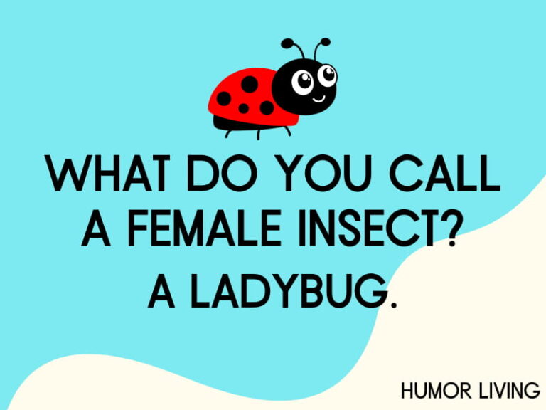 65+ Funny Insect Jokes to Bug You With Laughter - Humor Living 65+ Funny Insect Jokes to Bug You With Laughter - Humor Living