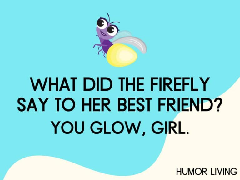 65+ Funny Insect Jokes to Bug You With Laughter - Humor Living