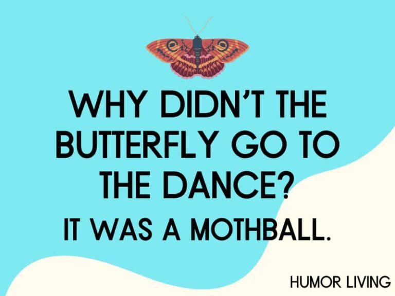 65+ Funny Insect Jokes to Bug You With Laughter - Humor Living