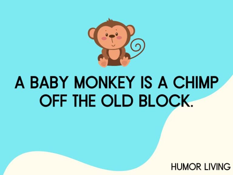 60+ Hilarious Monkey Puns for Monkeying Around - Humor Living