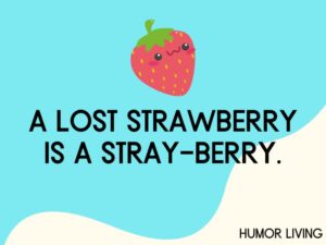 35+ Strawberry Puns That Are Berry Funny - Humor Living