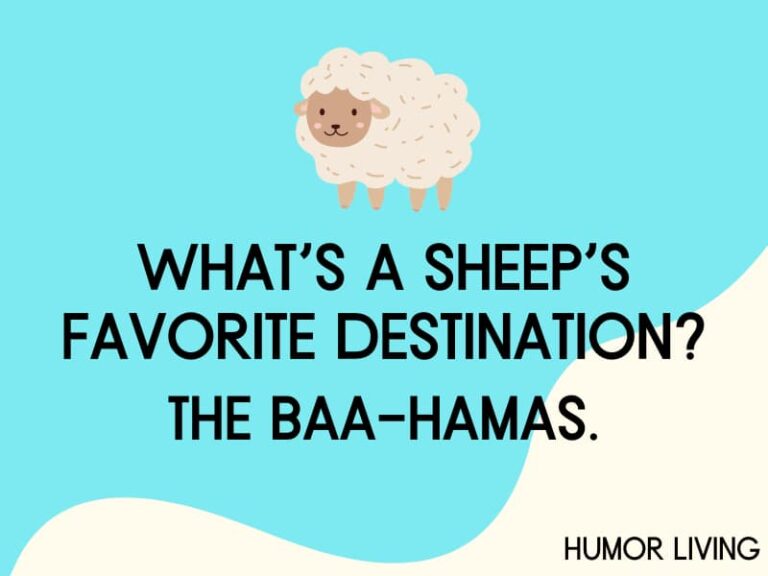 65+ Funny Travel Jokes for a Laughter Trip - Humor Living