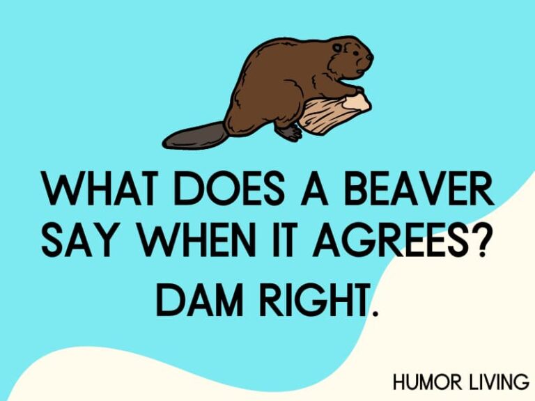 50+ Funny Beaver Jokes That Are Second to Gnaw-n - Humor Living