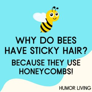 Why do bees have sticky hair? Because they use honeycombs! - Humor Living
