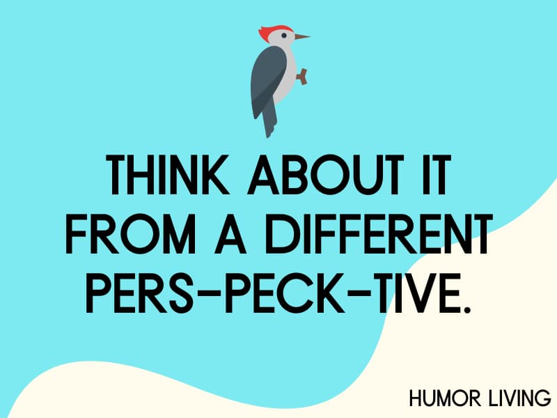 130+ Funny Bird Puns That’ll Leave You Flying With Laughter - Humor Living 130+ Funny Bird Puns That’ll Leave You Flying With Laughter - Humor Living