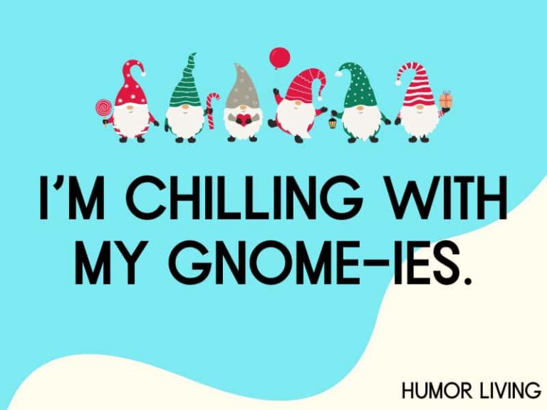 60+ Hilarious Gnome Puns to Make You Laugh - Humor Living