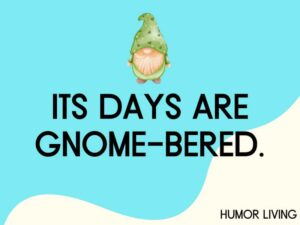 60+ Hilarious Gnome Puns to Make You Laugh - Humor Living