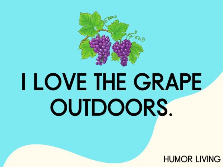 55+ Funny Grape Puns to Make You Burst With Laughter - Humor Living